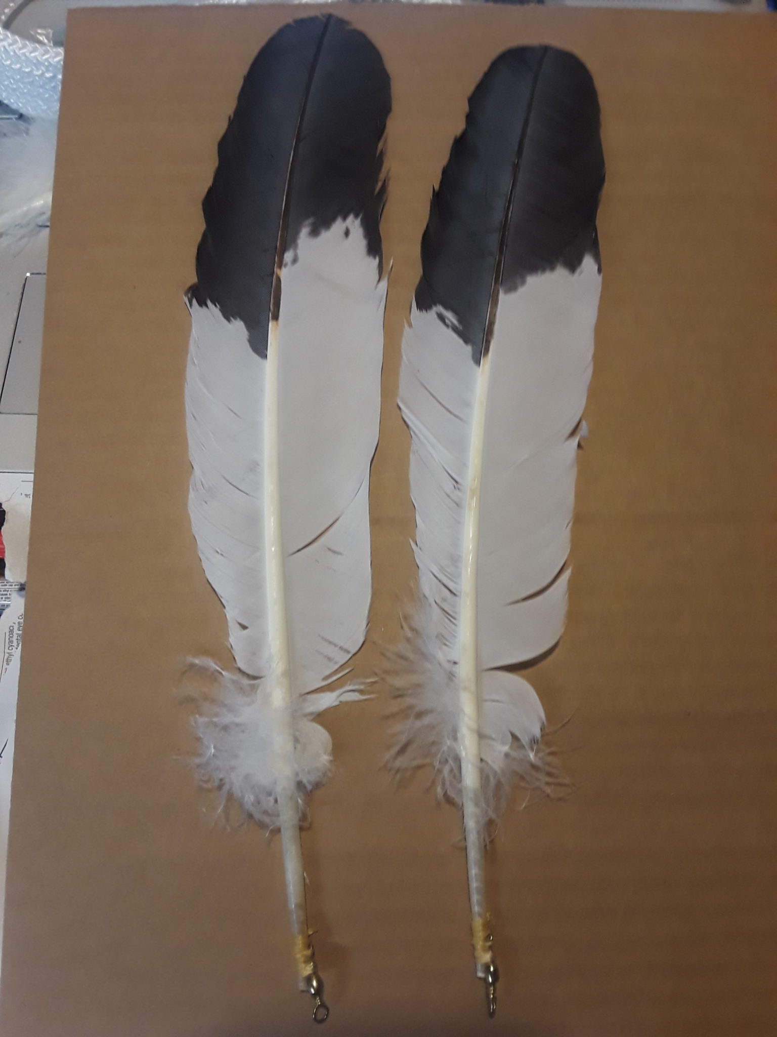 Sample Imitation Eagle Feathers Gallery – Two Eagles Legacy