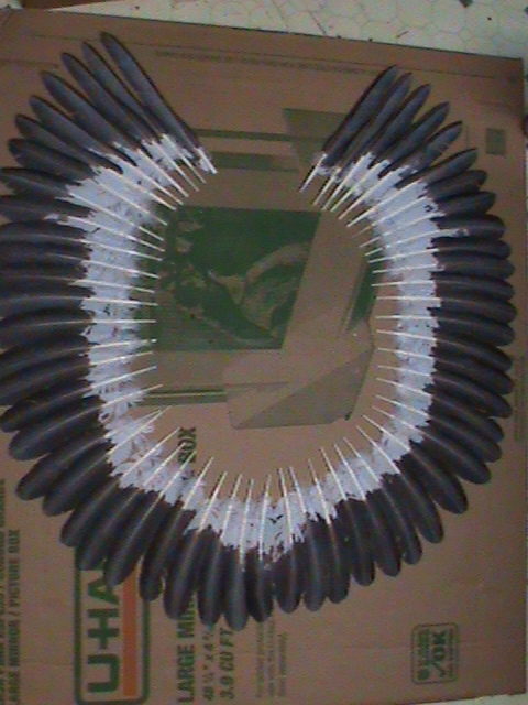 Sample Imitation Eagle Feathers Gallery – Two Eagles Legacy