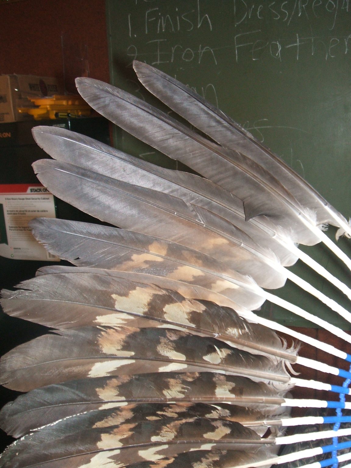 Sample Imitation Eagle Feathers Gallery – Two Eagles Legacy